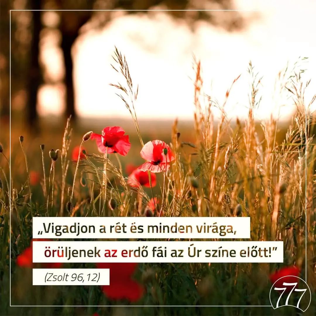 10 tipp egy fiatal paptól - ha már régen voltál gyónni – 777